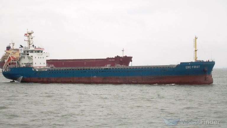 EMC FIRST, Bulk Carrier - Details and current position - IMO 9982665 ...