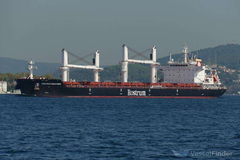 ROSTRUM SINGAPORE, Bulk Carrier - Details and current position - IMO ...