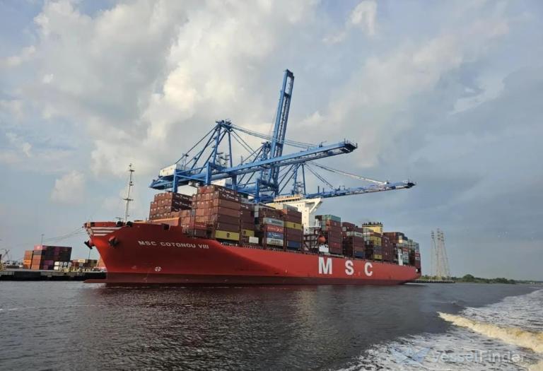 MSC COTONOU VIII, Container Ship - Details and current position - IMO ...