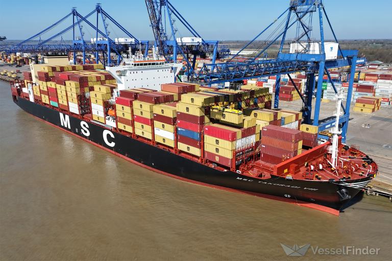 MSC TAKORADI VIII, Container Ship - Details and current position - IMO ...