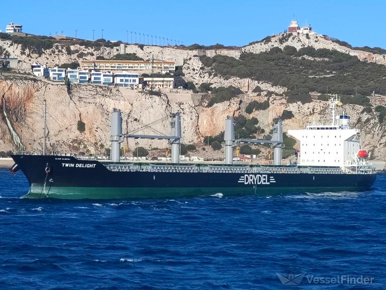 TWIN DELIGHT, Bulk Carrier - Details and current position - IMO 9984481 ...