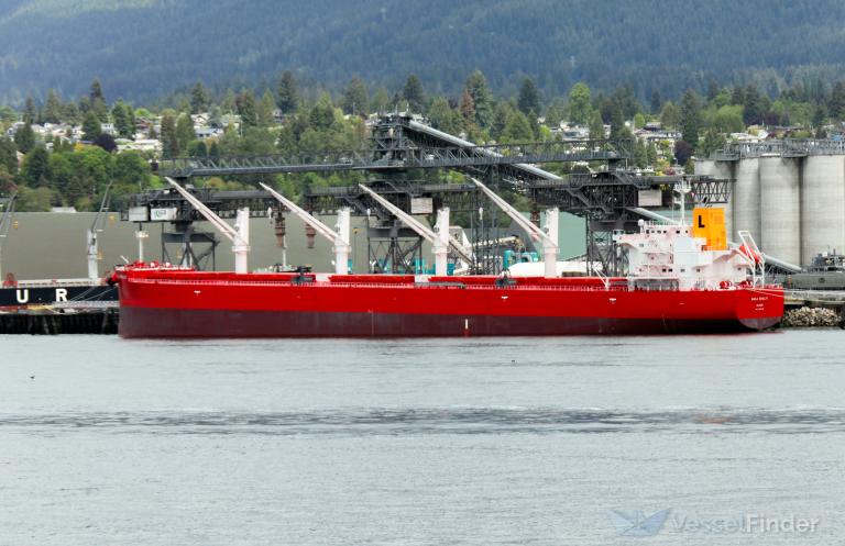 MARLA ROYALTY, Bulk Carrier - Details and current position - IMO ...