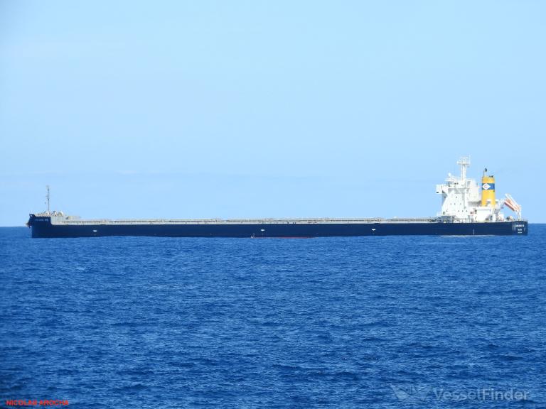 LOWLANDS IYO, Bulk Carrier - Details and current position - IMO 9987249 ...