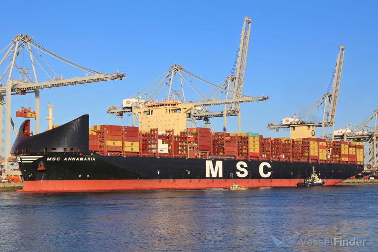 MSC ANNAMARIA, Container Ship - Details and current position - IMO ...