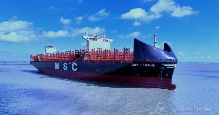 MSC LINZIE, Container Ship - Details and current position - IMO 9987354 ...