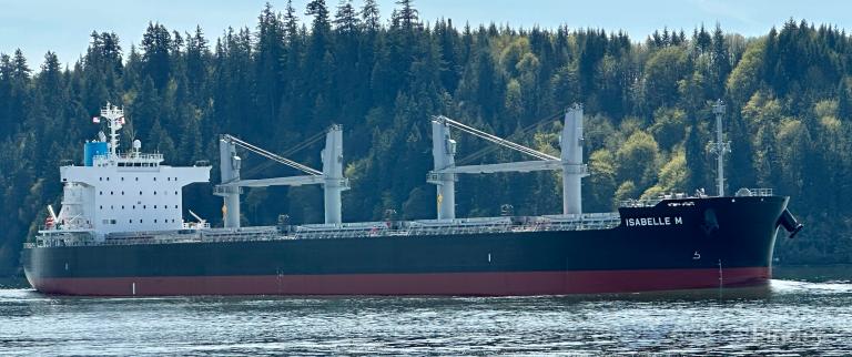 ISABELLE M, Bulk Carrier - Details and current position - IMO 9991290 ...