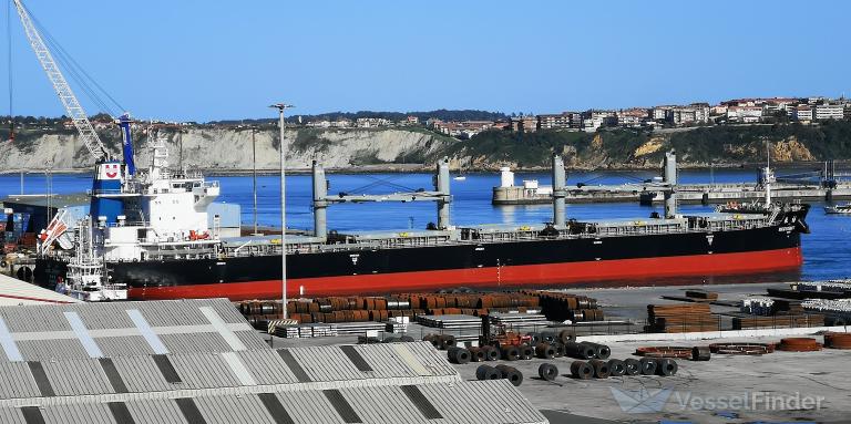 ASIAN ETERNITY, Bulk Carrier - Details and current position - IMO ...