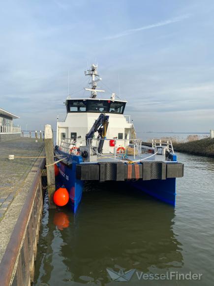 TSM WINDCAT 56, Offshore Tug/Supply Ship - Details and current position - IMO 9995961 - VesselFinder